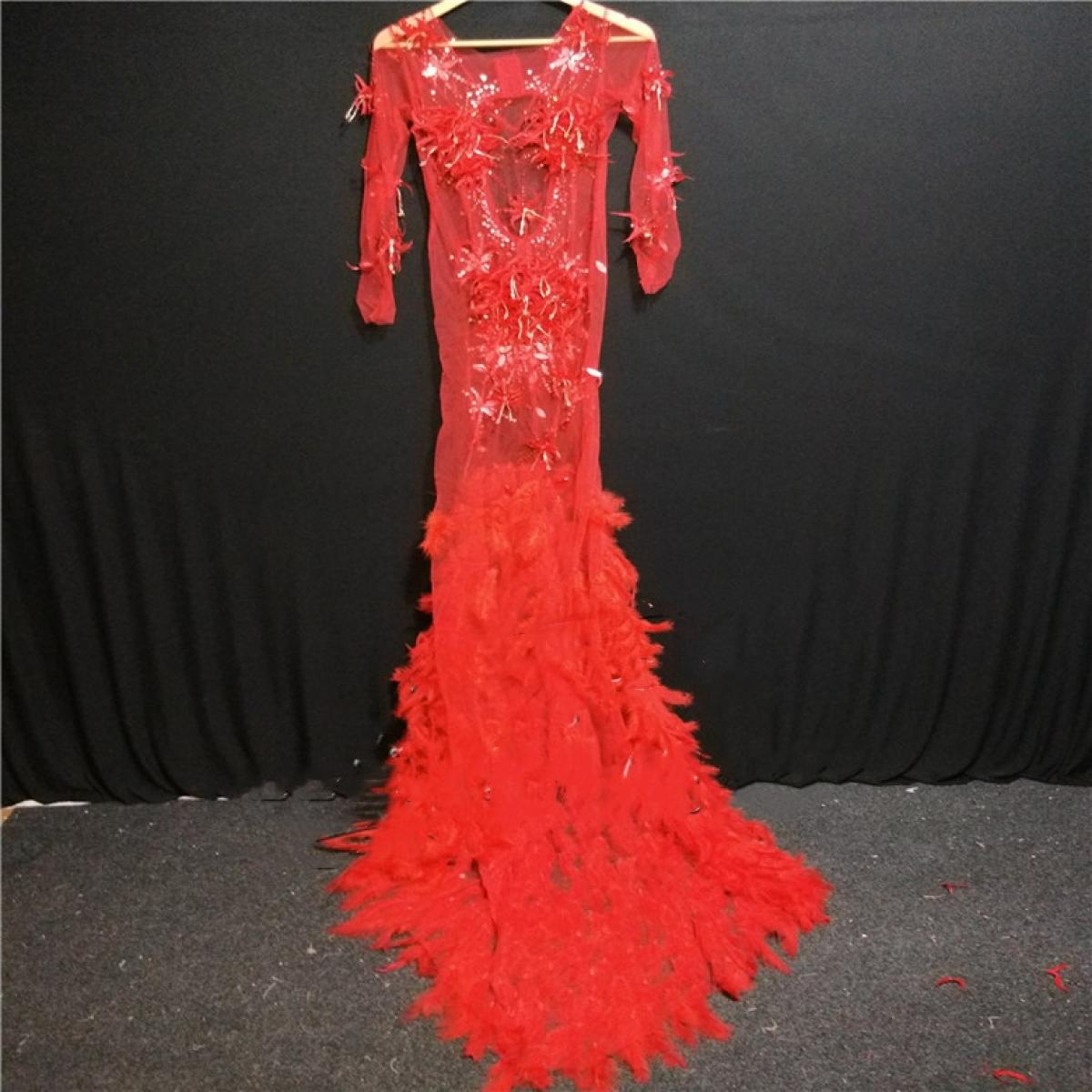 Feather Trailing Crystallized Trailing Dress - Costumes - Raywigs